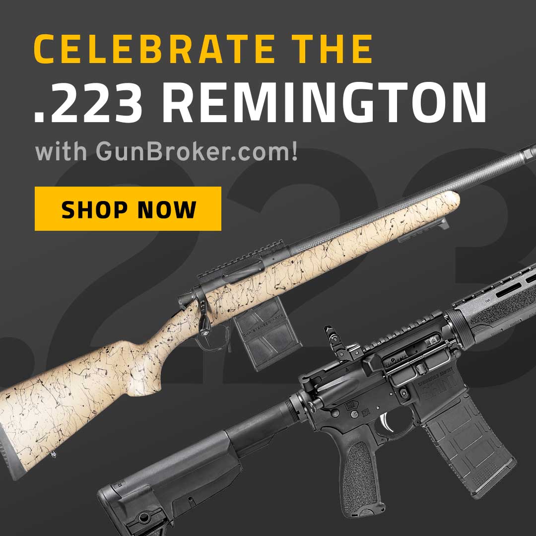 .223 Remington - GunBroker.com