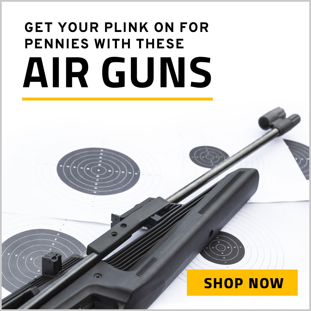 Air Guns - GunBroker.com