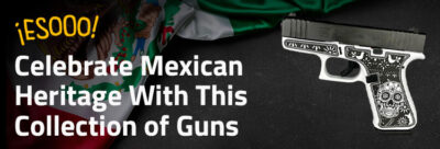 Mexican Heritage Guns for Sale Online at GunBroker