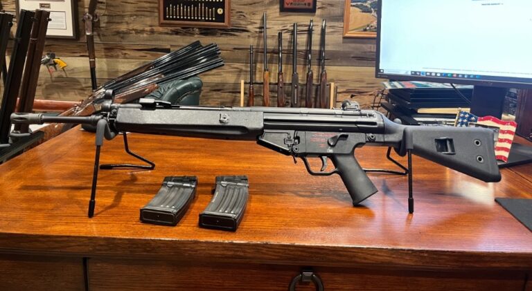 22 Most Expensive Guns Sold on GunBroker November 2024