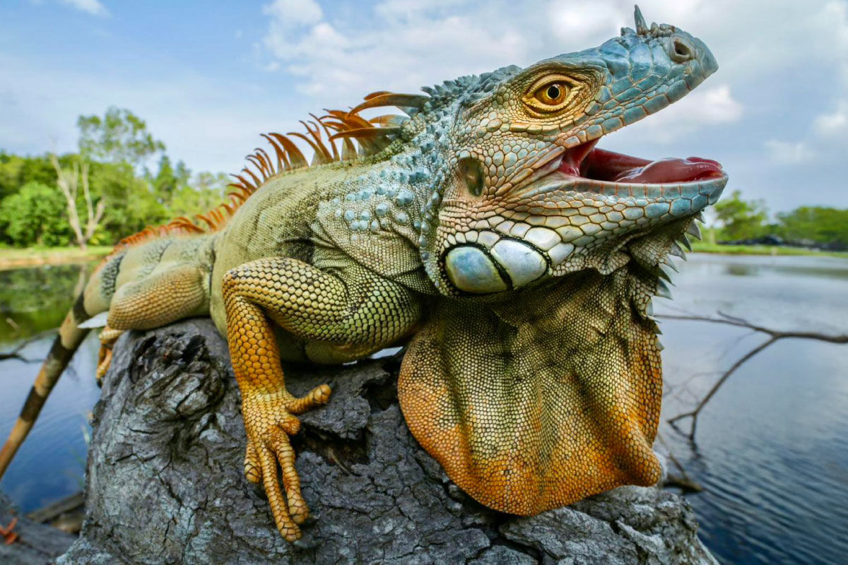 GunBroker.com - The World's Largest Online Marketplace for Firearms and ...