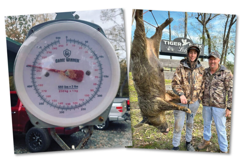 Chasing Hogs with Danny Moreland | GunBroker