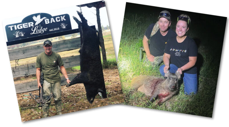 Chasing Hogs with Danny Moreland | GunBroker