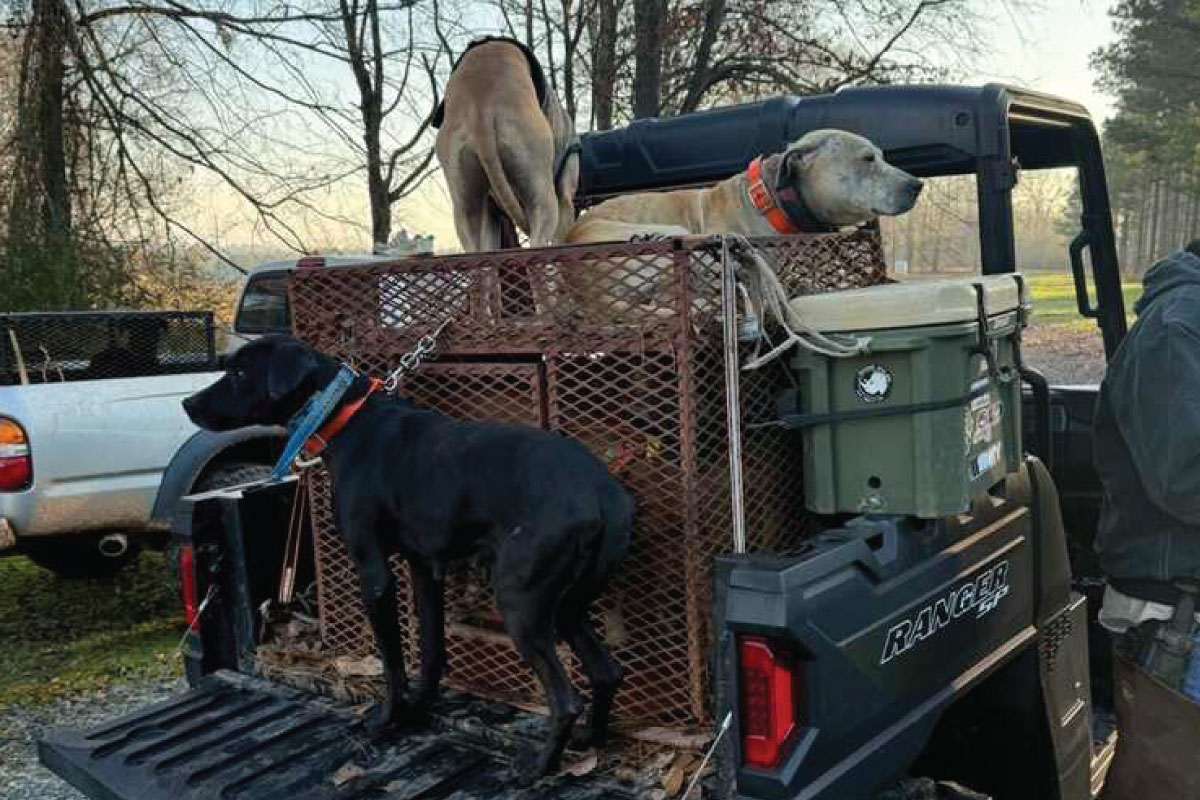 Chasing Hogs with Danny Moreland | GunBroker