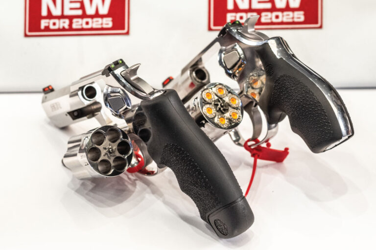 Diamondback SDR 3": A Compact .357 Revolver | GunBroker Video