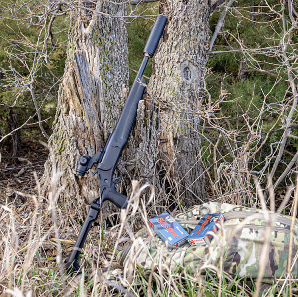 Rossi LWC with Folding Stock - GunBroker.com