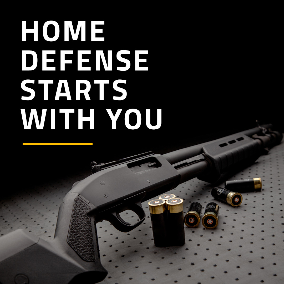 Home Defense - GunBroker.com