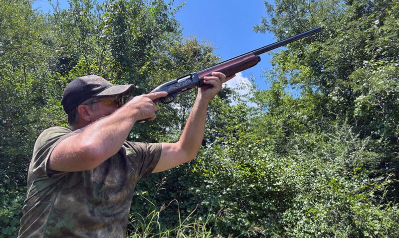7 Dove Hunting Tips for Success in the First Season - GunBroker.com