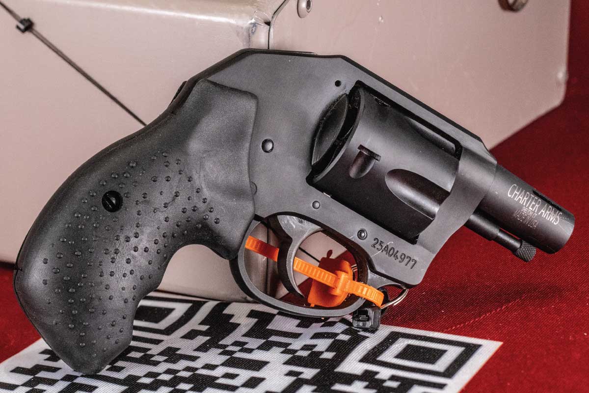 Charter Arms American-Made Boomer Revolver Series Overview [Video ...