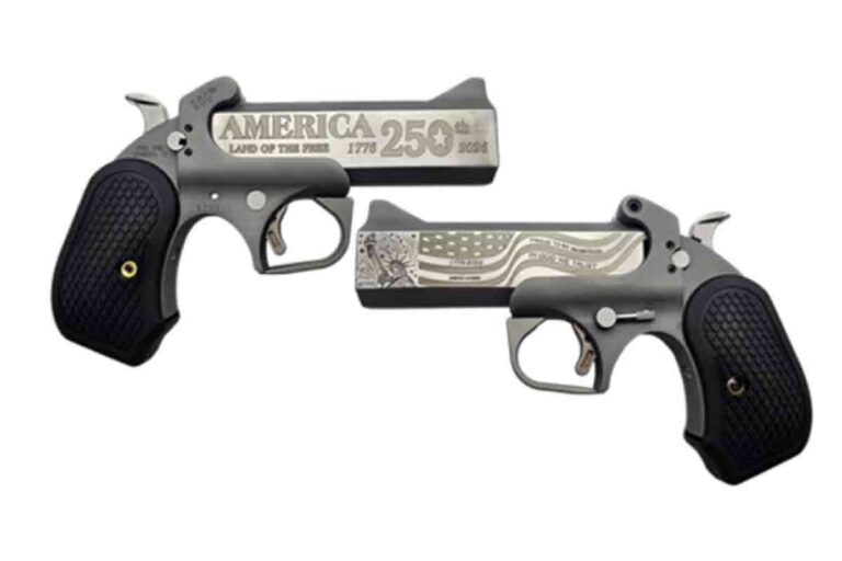 What Are America 250 Guns — and Why Are Collectors Suddenly Buying Them ...